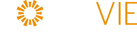 Bauer Solar 450W Bifacial Glas-Glas Pure Transparent – Solarvie